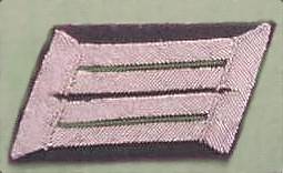 Collar Patches